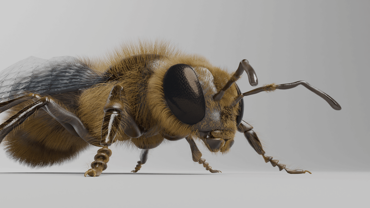 The first digital exhibition: Apis Gropius with Ana Prvacki - NEEEU